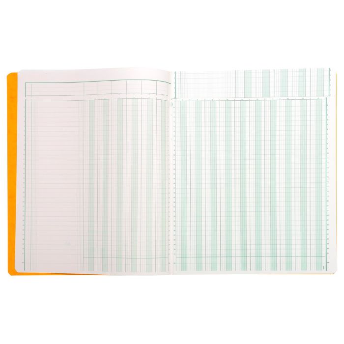 Registre comptable 16 colonnes 320 x 250 mm (Journal EXACOMPTA 14160E ...